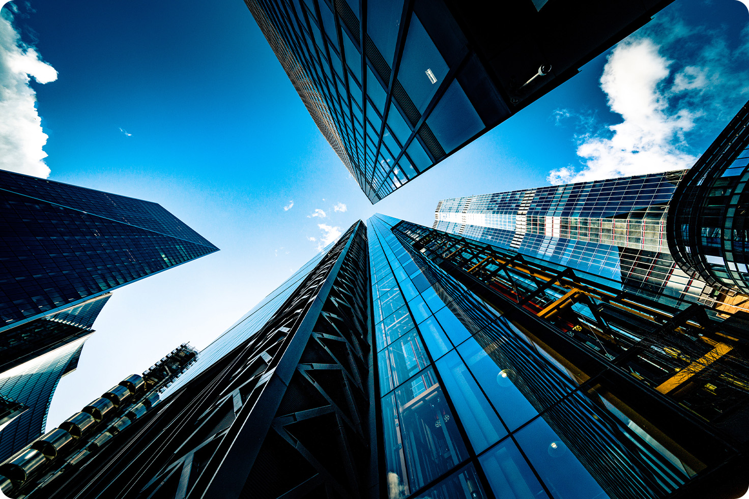 TNFD Publishes Framework, and More