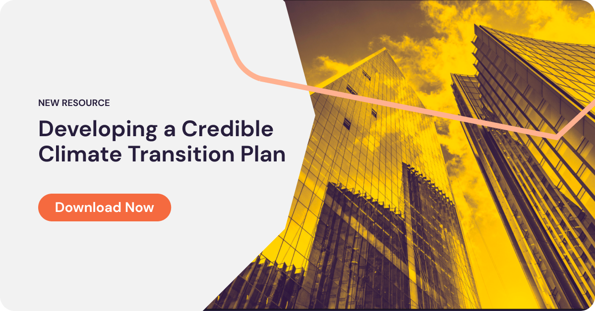 Developing a Credible Climate Transition Plan